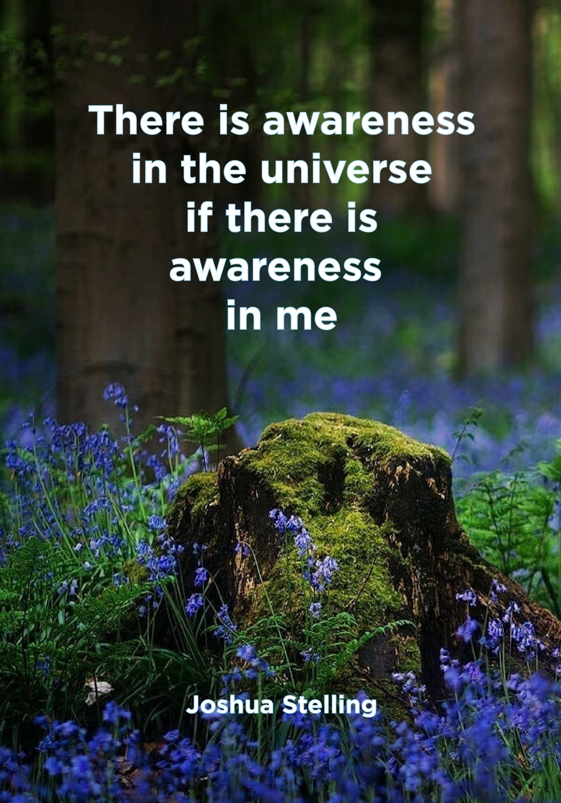 Meme Archive 2020, vol 2 — Joshua L Stelling